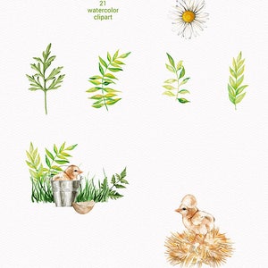 Easter Watercolor Clipart Cute Chicks Floral Chick Illustration Spring ...