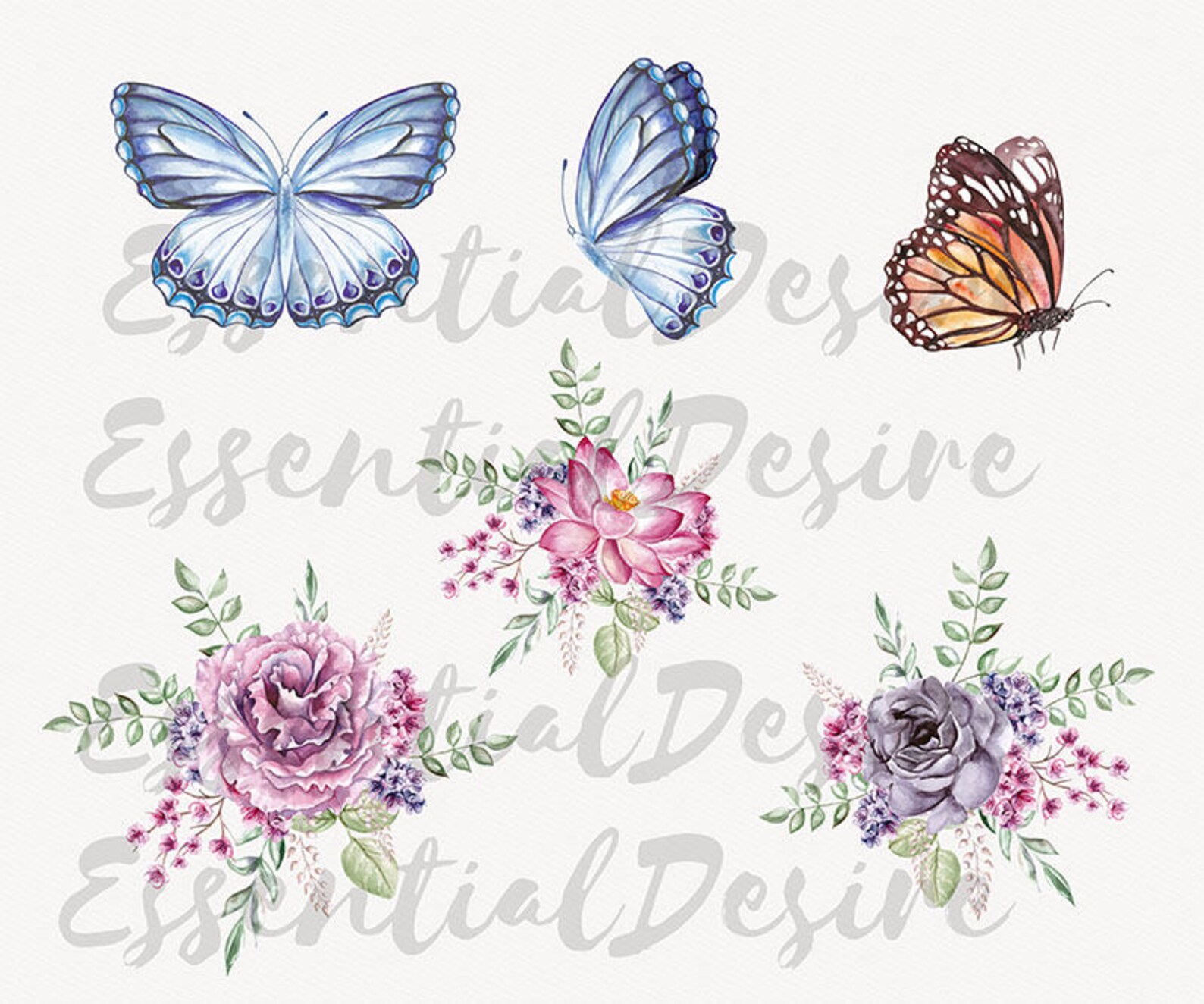 Butterfly Watercolor Clipart Digital Butterfly Clip Art - Etsy