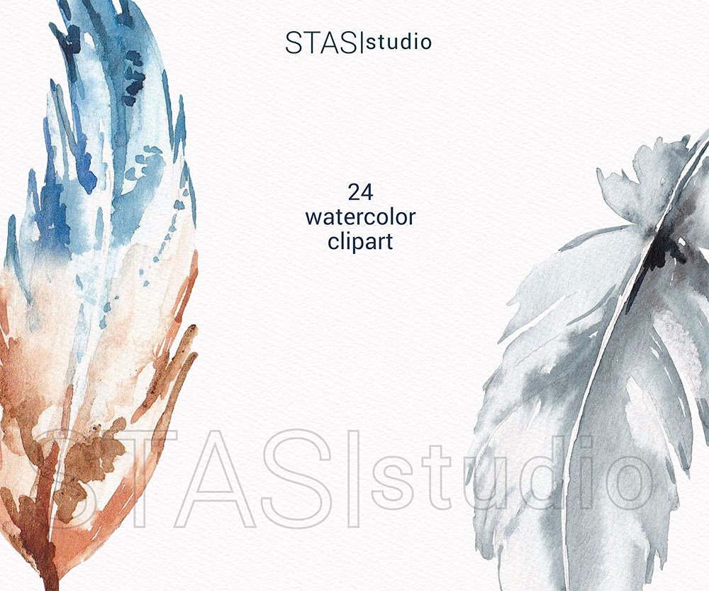 Watercolor Feather Clipart Brown Blue Feathers Illustration | Etsy