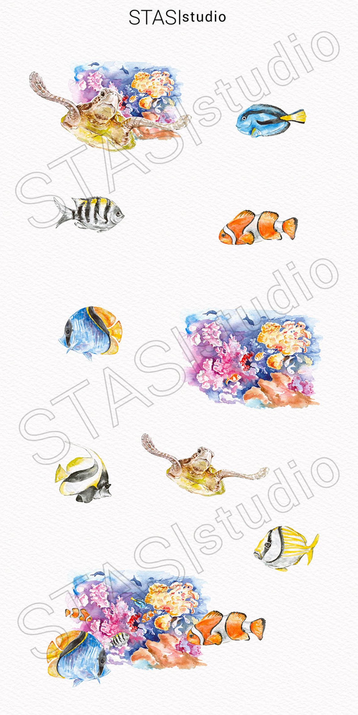 Watercolor Ocean Clipart Set Clownfish Nursery Illustration - Etsy