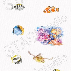Watercolor Ocean Clipart Set Clownfish Nursery Illustration - Etsy