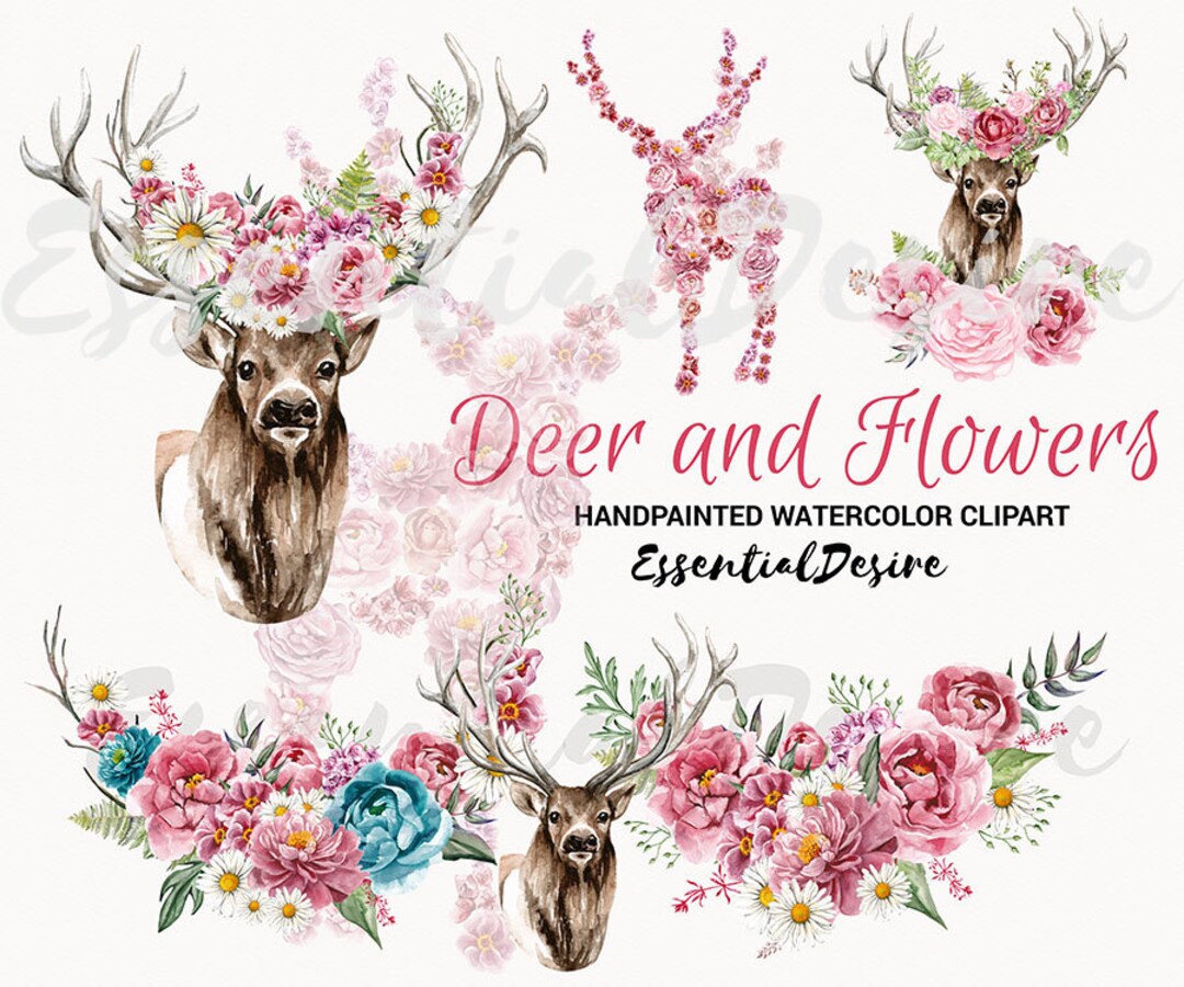 Deer Watercolor Clipart Antlers Clipart Floral Deer Rustic - Etsy