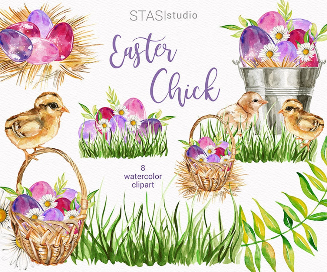 Easter Chick Clipart Watercolor Easter Grass Eggs Chicks Illustration ...