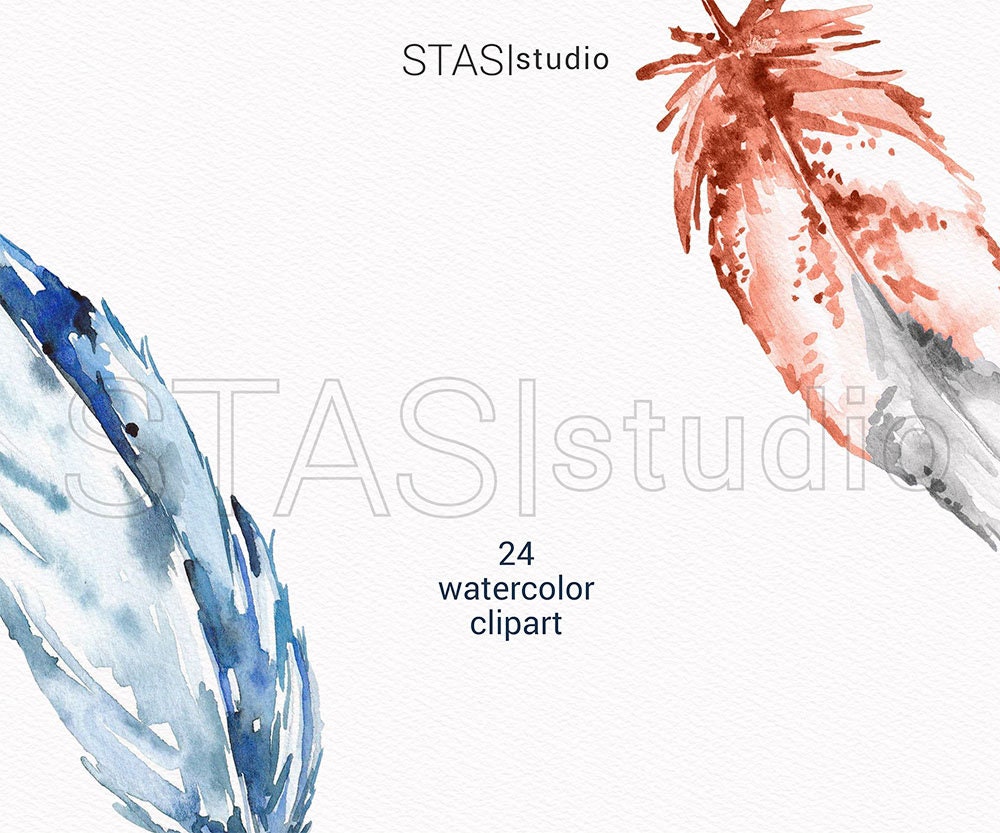 Watercolor Feather Clipart Brown Blue Feathers Illustration | Etsy