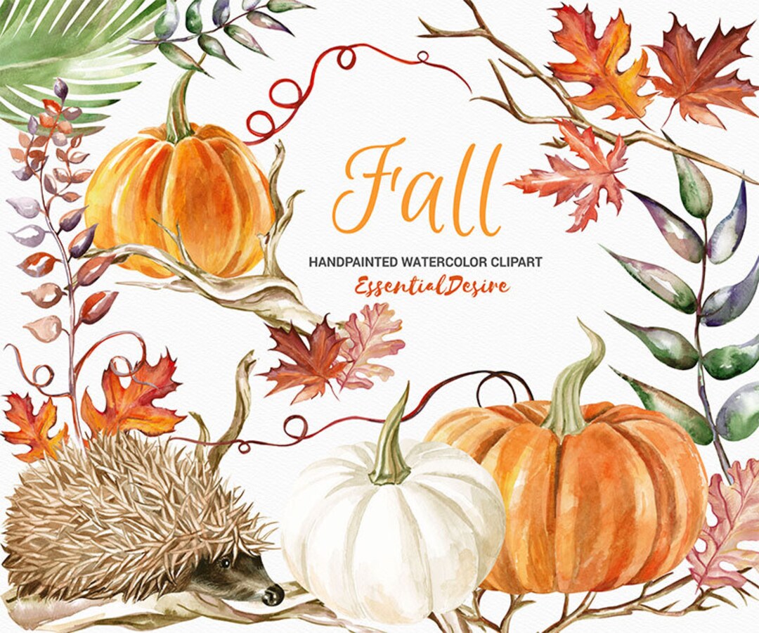 Thanksgiving Clipart Watercolor Pumpkin Watercolor Hedgehog Clipart ...
