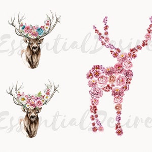 Deer Watercolor Clipart Antlers Clipart Floral Deer Rustic - Etsy