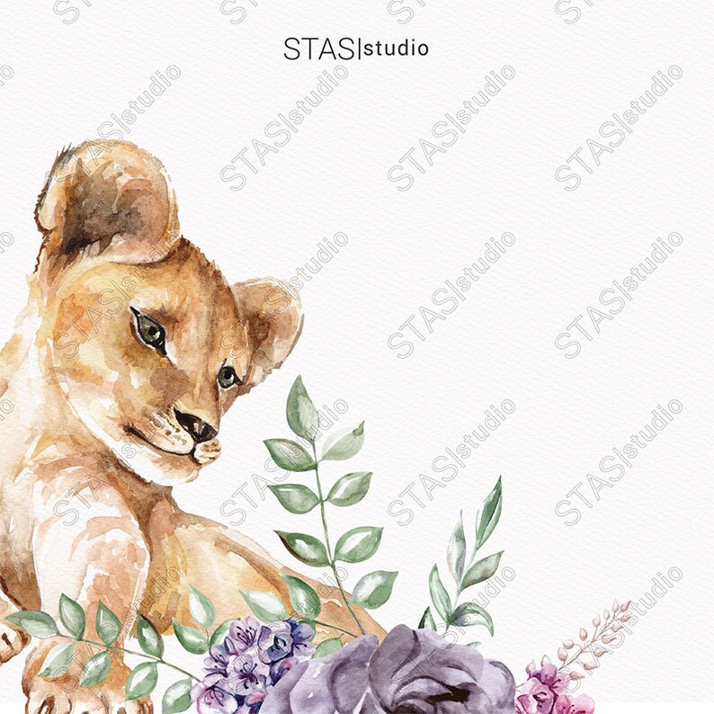 Lions Watercolor Clipart Baby Lions Cute Animals Nursery - Etsy
