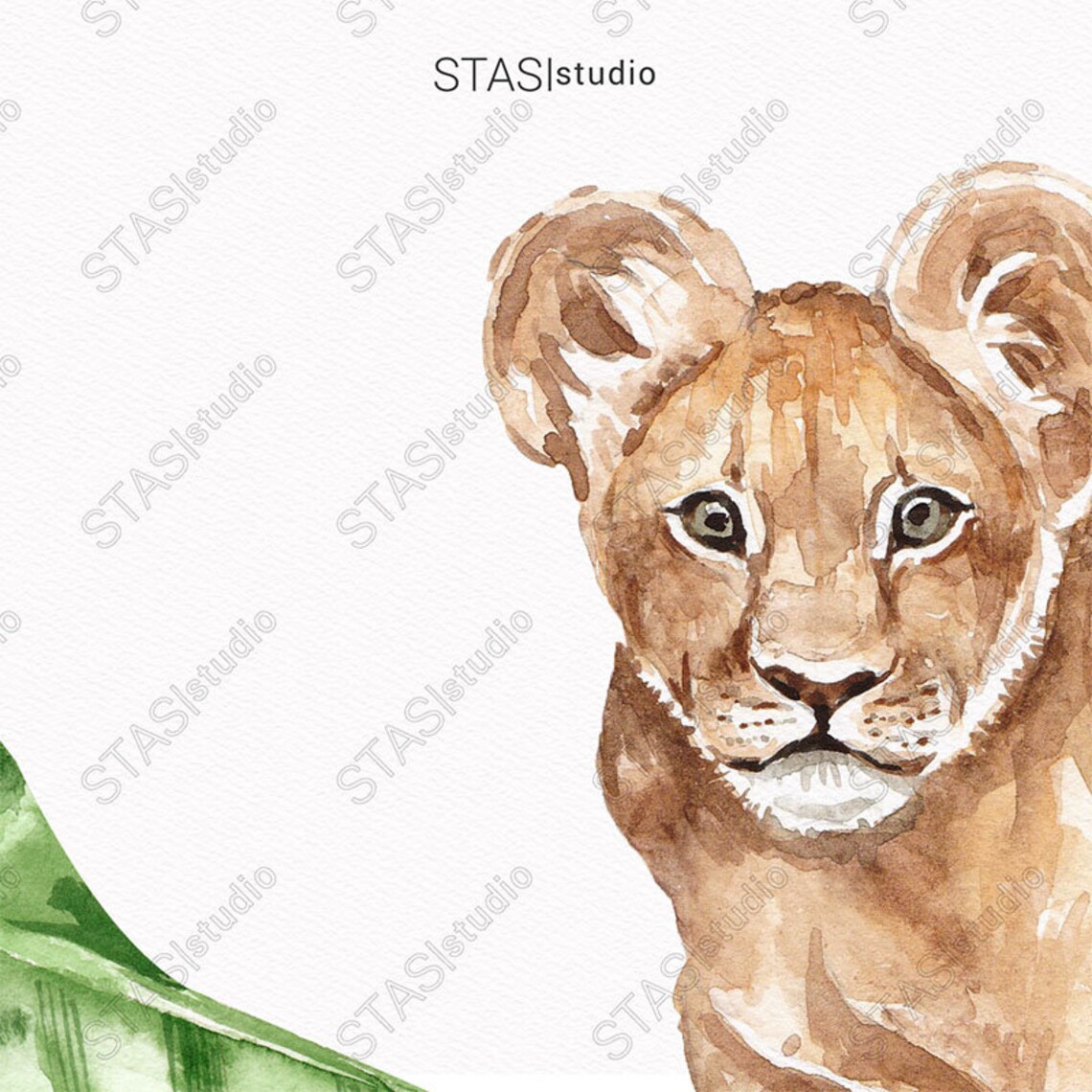 Lions Watercolor Clipart Baby Lions Cute Animals Nursery - Etsy