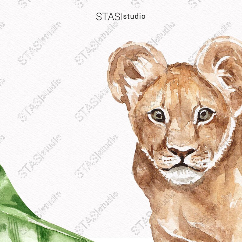 Lions Watercolor Clipart Baby Lions Cute Animals Nursery - Etsy