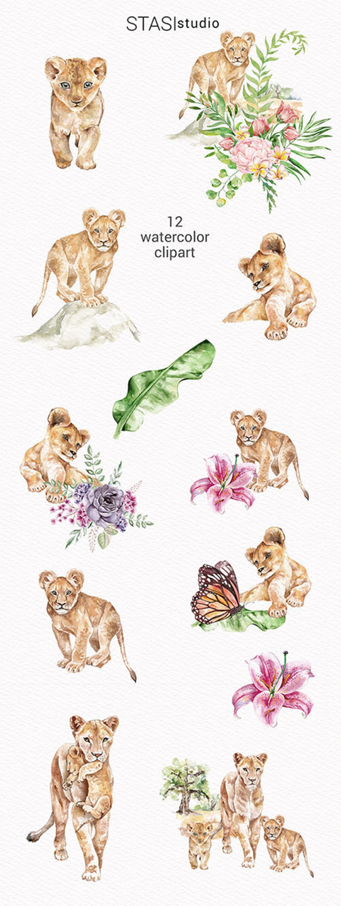 Lions Watercolor Clipart Baby Lions Cute Animals Nursery - Etsy