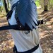 Raven Wing Leather Women's Pauldrons multiple Leather & - Etsy
