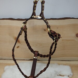 Braided Leather Step-in Dog Harness: Personalized With Optional ...