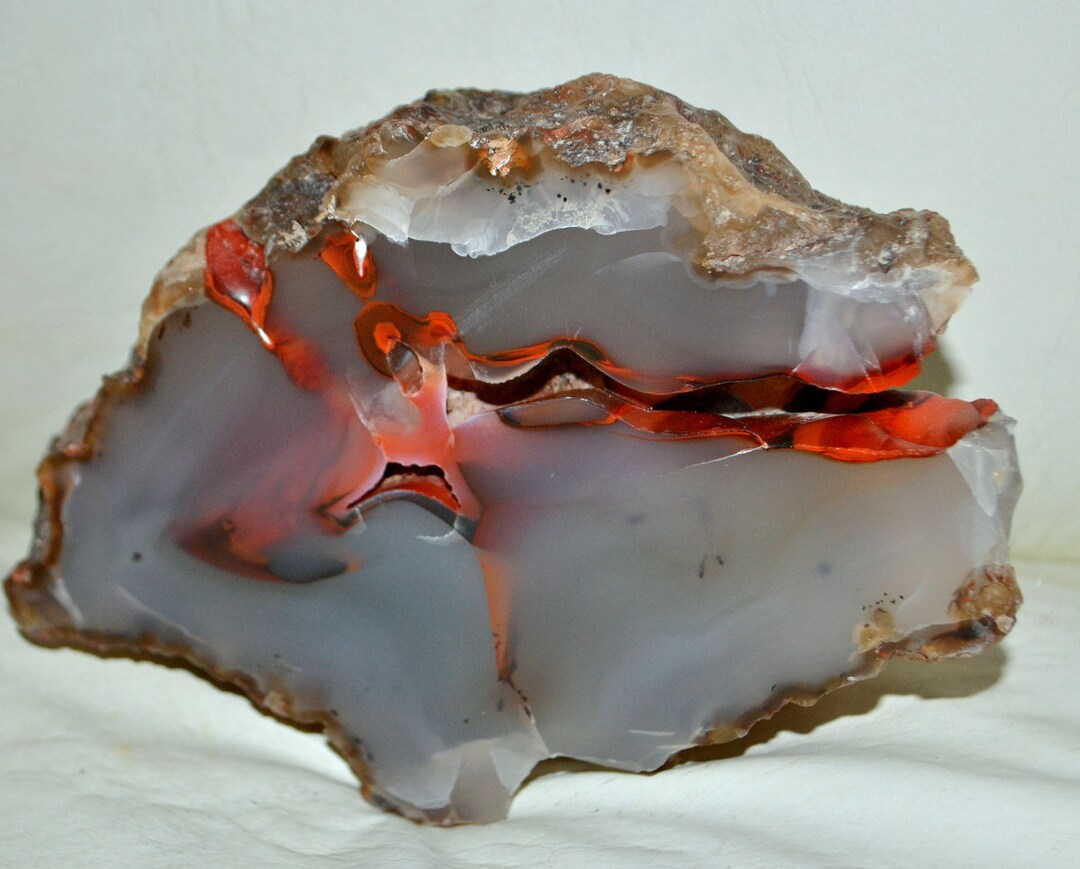 Botryoidal Crater Agate Red Fox Orellanita From Patagonia Argentina ...