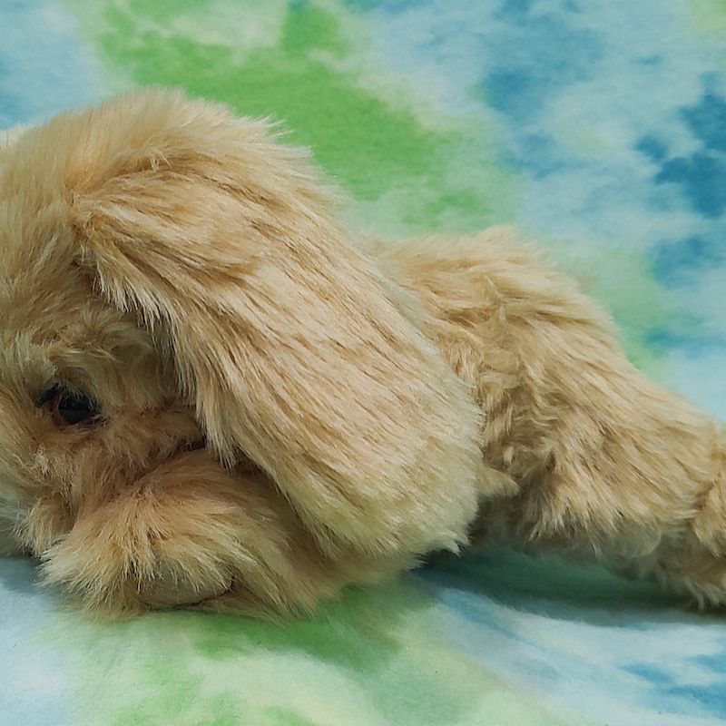 Little Paws Plushy - Etsy