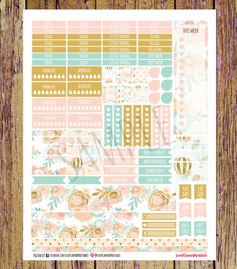 Pink Gold Hot Balloon Digital Printable Planner Stickers Weekly ...