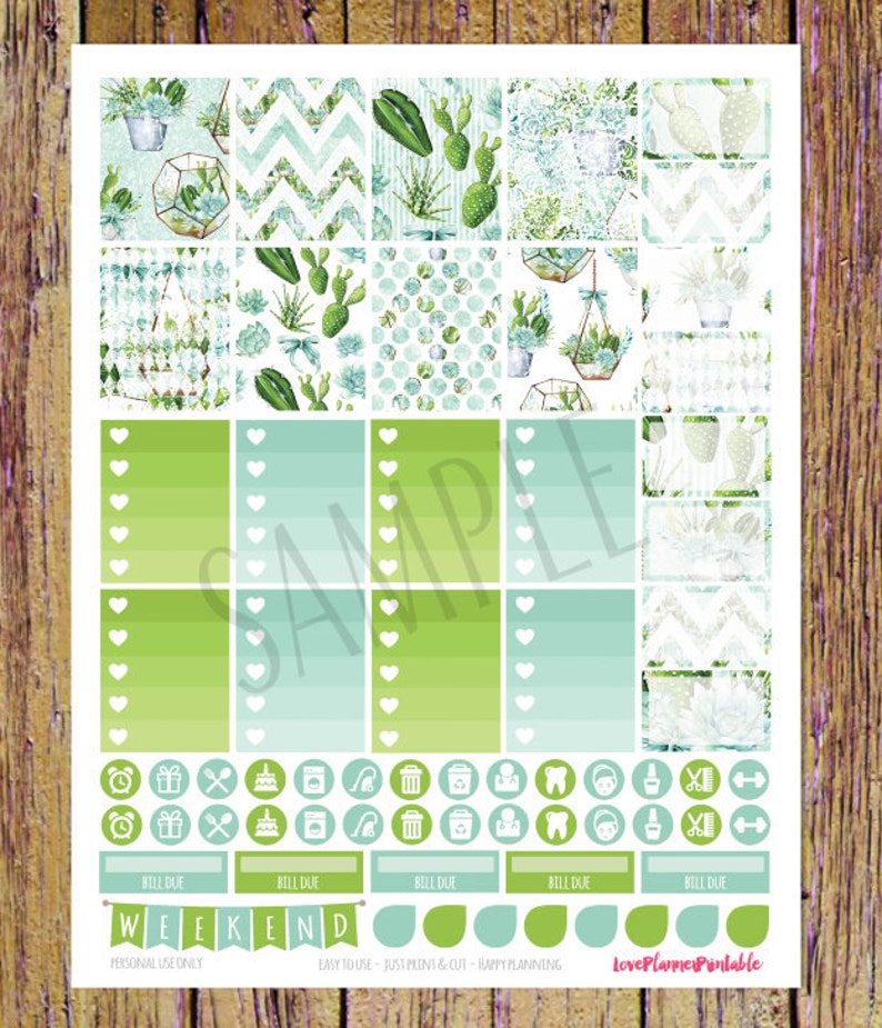 Cactus Succulents Digital Printable Planner Stickers Weekly - Etsy