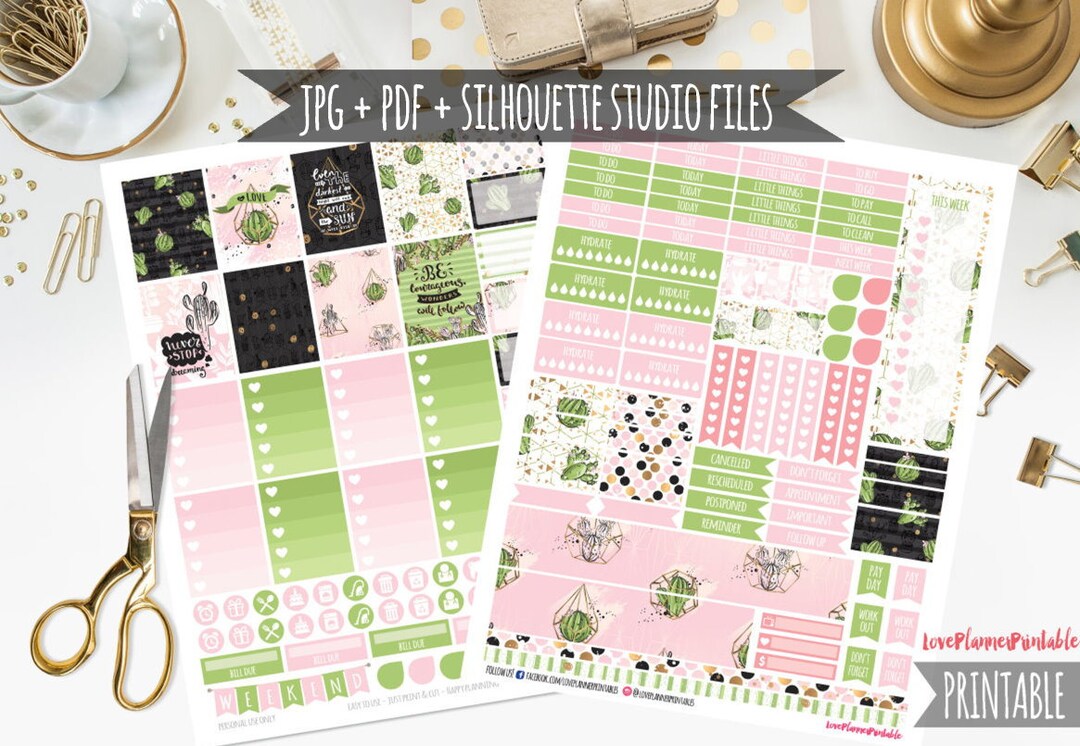 Cactus Succulents Printable Planner Stickers Weekly Stickers Digital ...