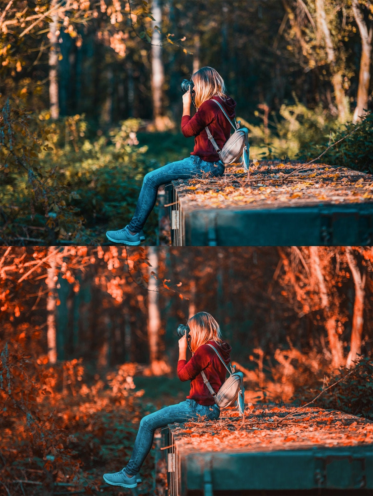 Autumn Photoshop Action, Fall Photoshop Action, acciones de photoshop ...