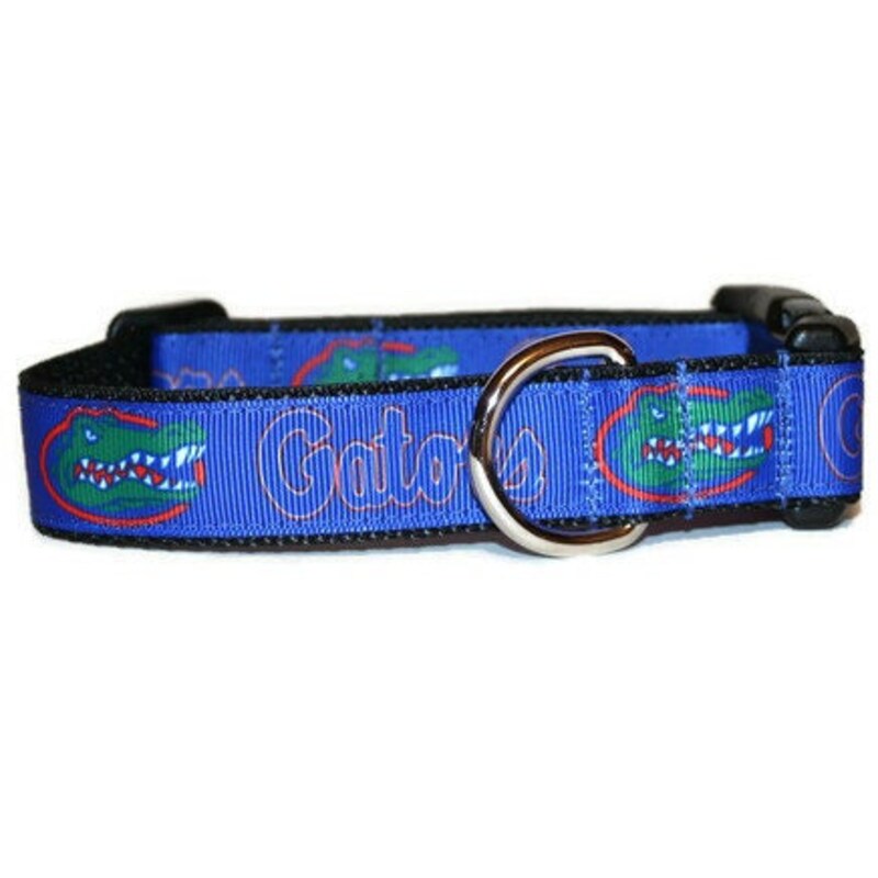 Florida Gator Dog - Etsy
