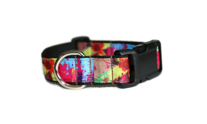 Paint Splatter Dog Collar,dog Collar,colorful Dog Collar,boy Dog Collar ...