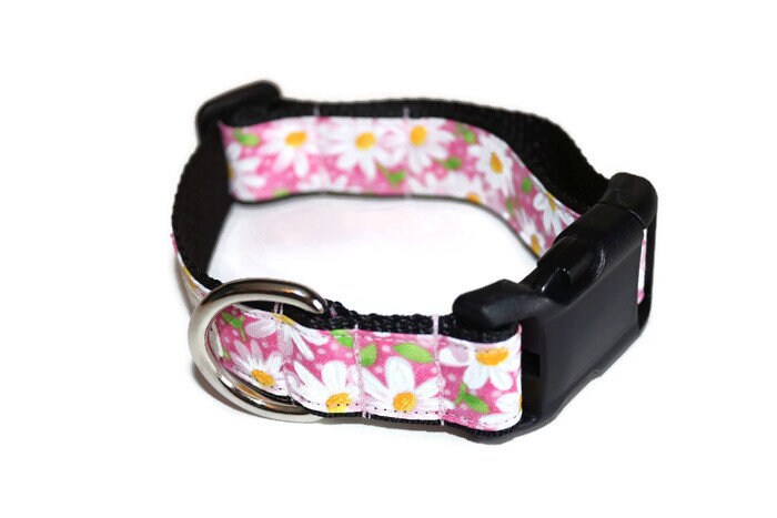White Daisy on Pink Dog Collardaisy Dog Collarflower Dog - Etsy