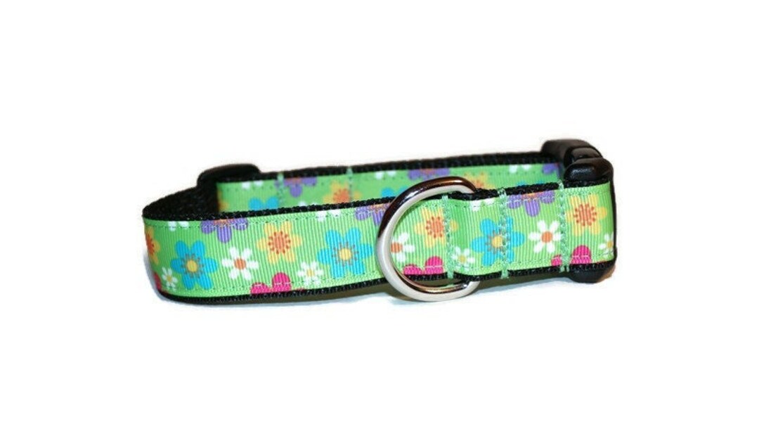 Groovy Daisy Dog Collar,dog Collar,daisy Dog Collar,flower Dog Collar ...
