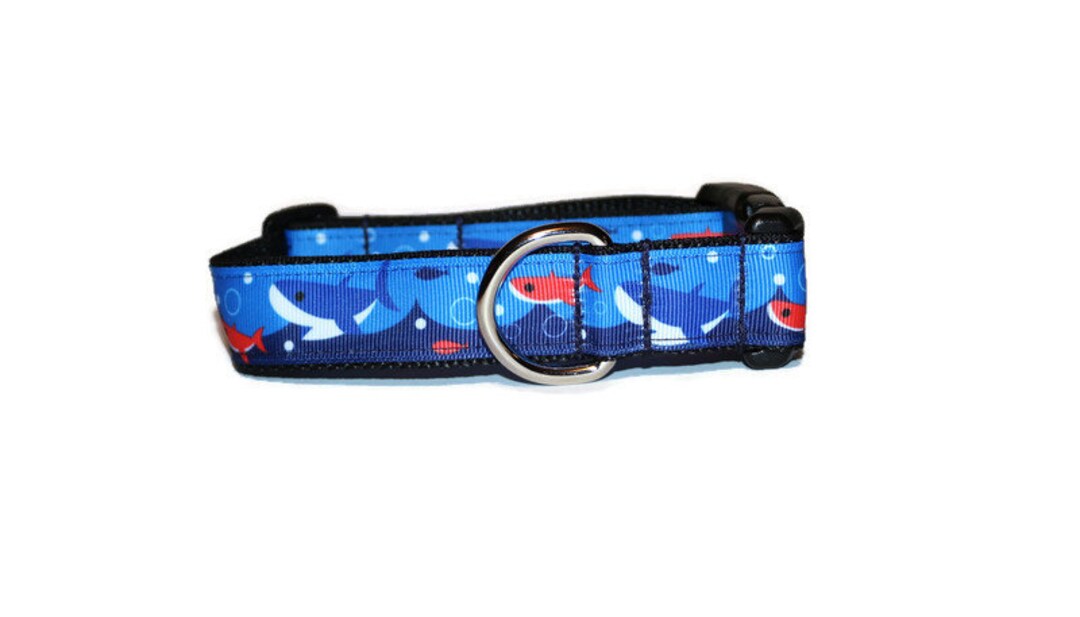 Shark Dog Collar,sharks,fun Dog Collar,boy Dog Collar,girl Dog Collar ...
