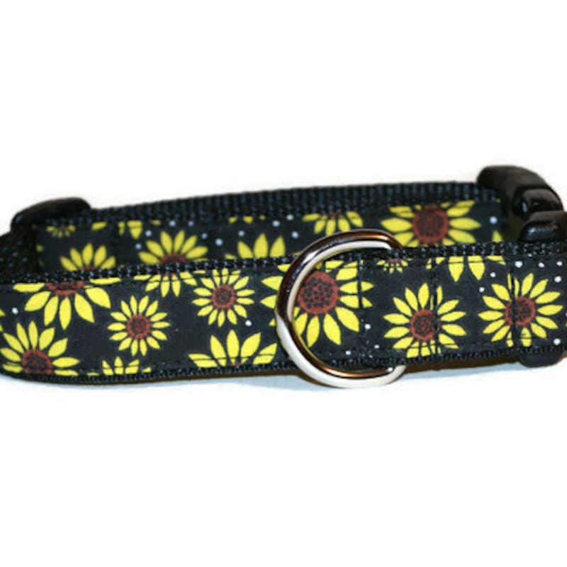 Hairofthedogcollars - Etsy