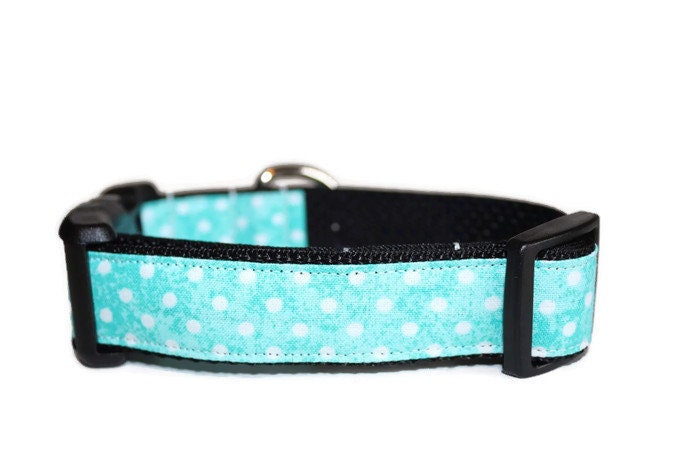 Turquoise With White Polka Dots Dog Collarturquoise Dog - Etsy