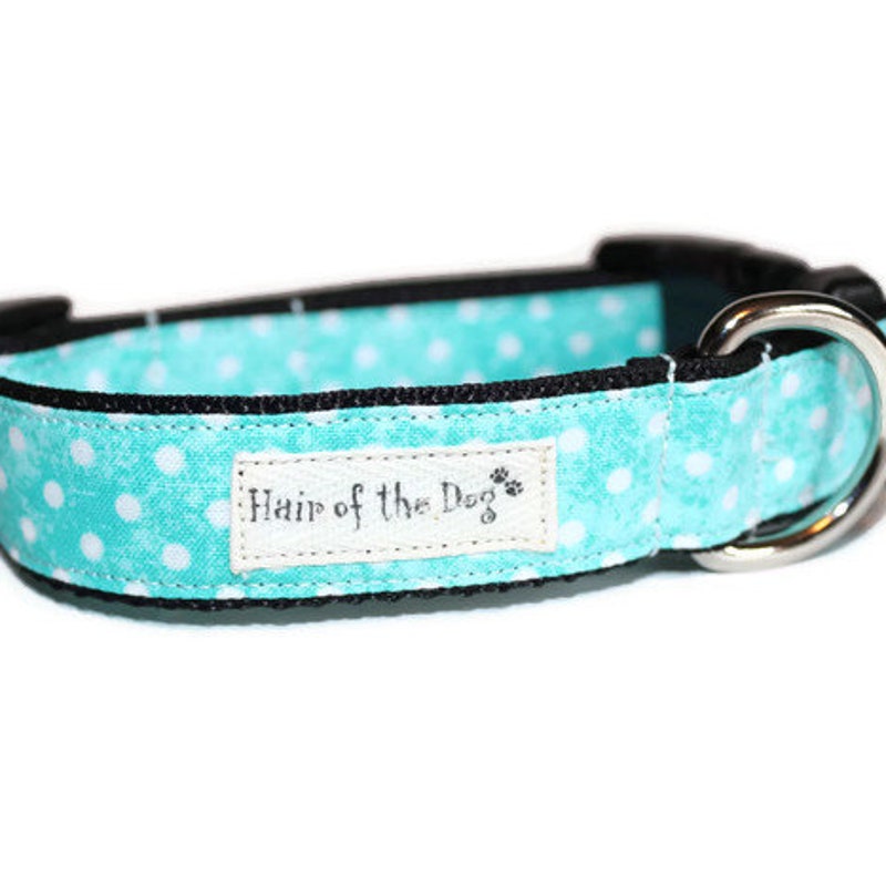 Turquoise Dog Collar - Etsy