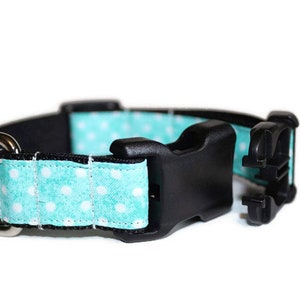 Turquoise With White Polka Dots Dog Collar,turquoise Dog Collar,fun Dog ...