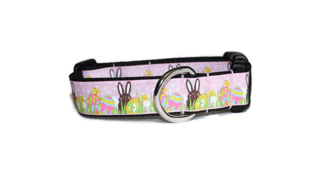 Easter Bunny Surprise Dog Collar,easter,easter Dog Collar,bunny Dog ...
