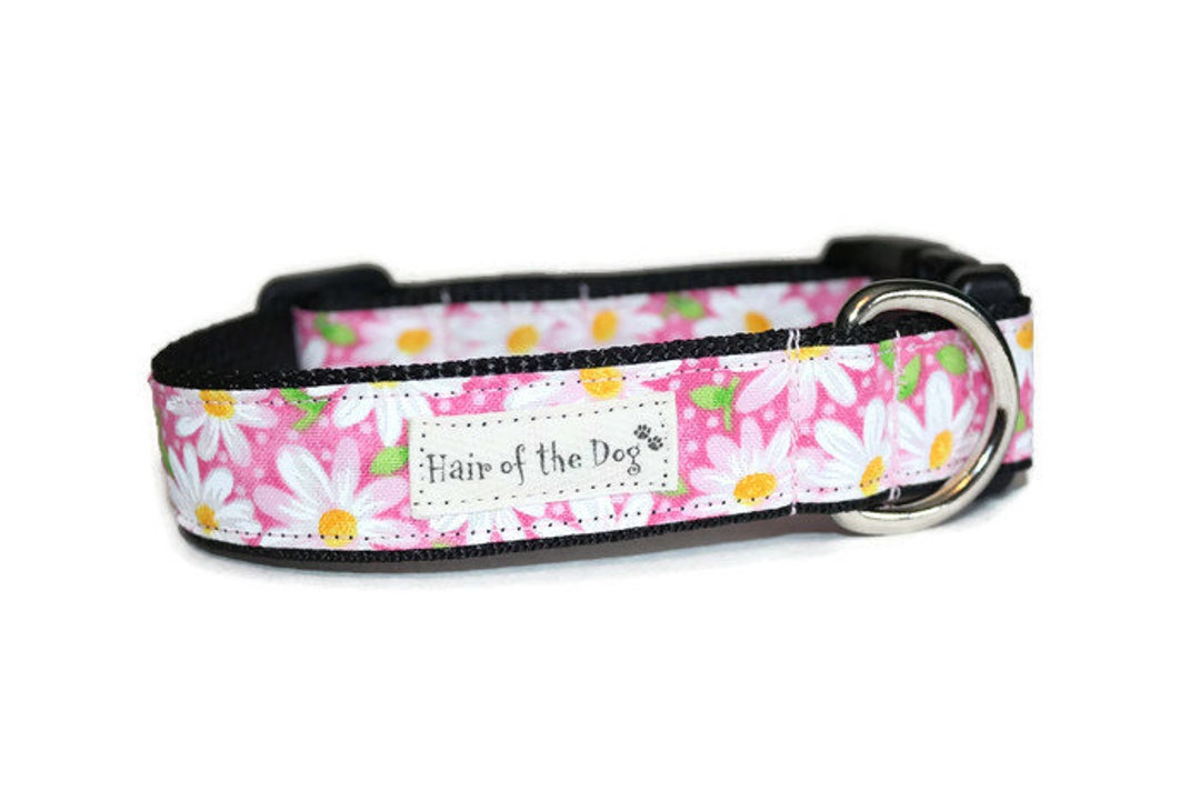 White Daisy on Pink Dog Collar,daisy Dog Collar,flower Dog Collar,girl ...