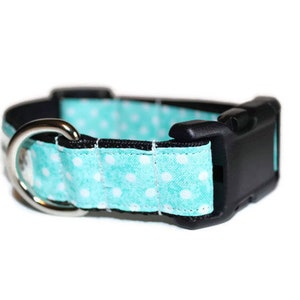 Turquoise With White Polka Dots Dog Collar,turquoise Dog Collar,fun Dog ...
