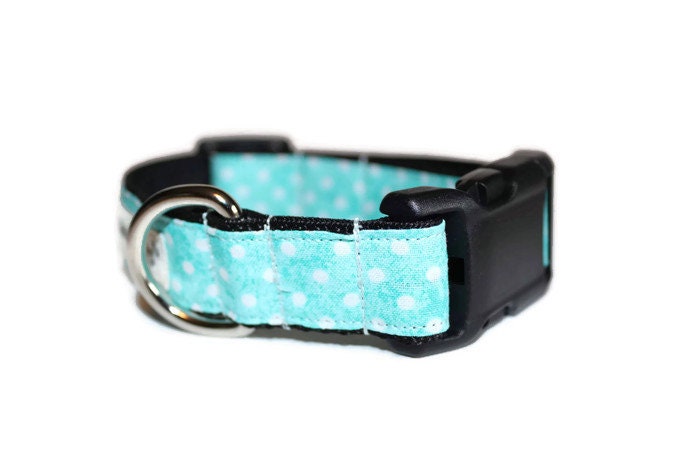 Turquoise With White Polka Dots Dog Collarturquoise Dog - Etsy
