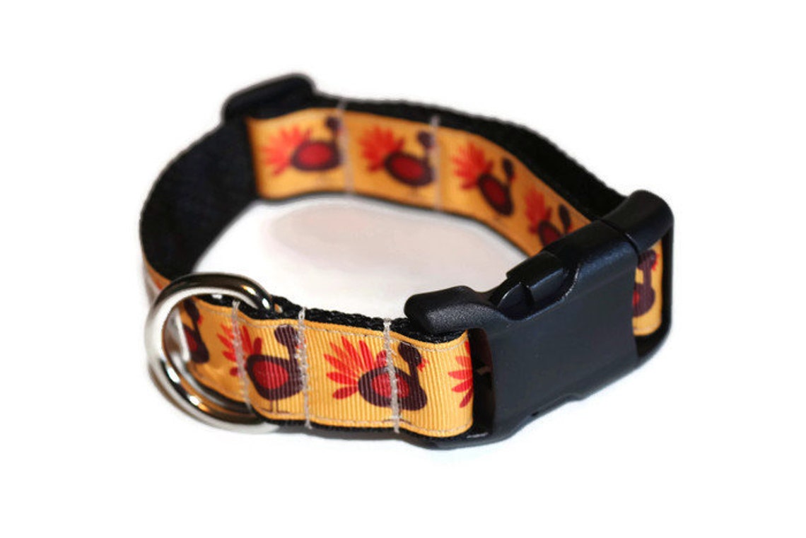 Turkey Trot Dog Collarhandmade Dog Collarthanksgiving Dog | Etsy