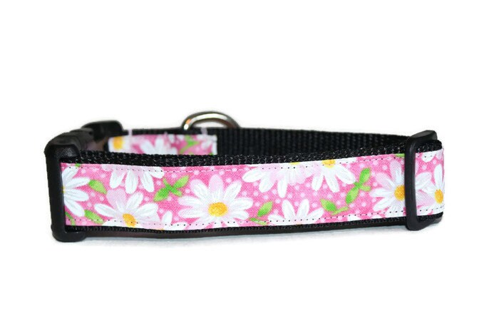 White Daisy on Pink Dog Collardaisy Dog Collarflower Dog - Etsy