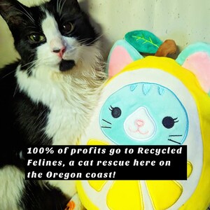 Wicked Peach Incenses ( 10 Hand Dipped Sticks ) - Etsy