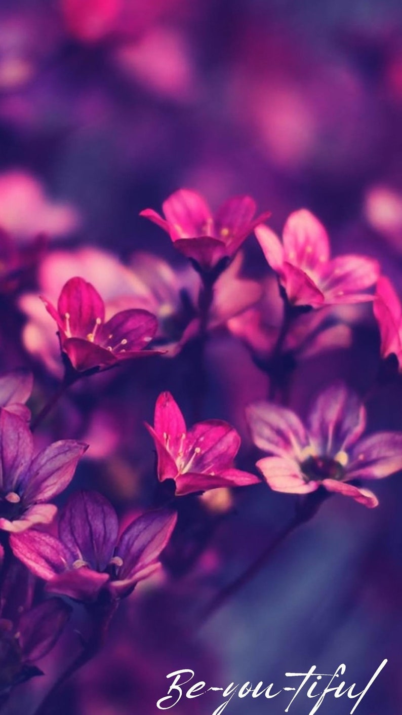 Floral Phone Wallpaper Art Design/smartphone Screensaver Background - Etsy