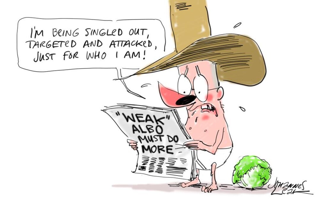 Weak Albo Must Do More 9/12/2024 - Etsy Australia