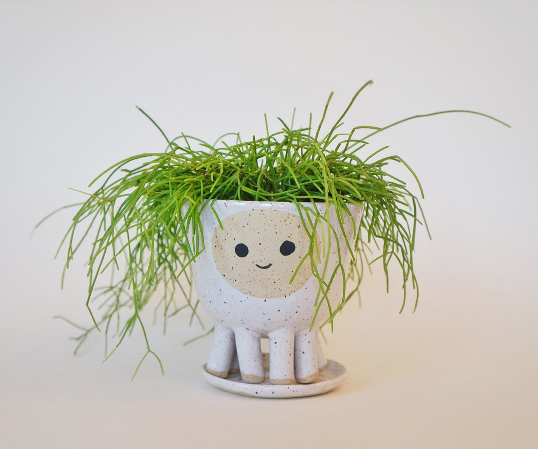 Octopot the Ceramic Planter Pot With Drainage - Etsy