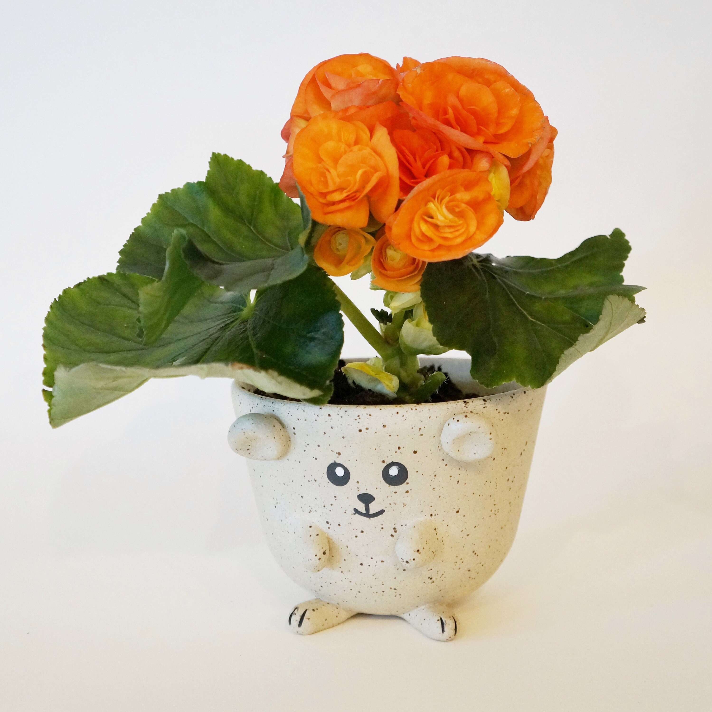 Mouse Pot : Woodland Creatures Clay Pots | Etsy