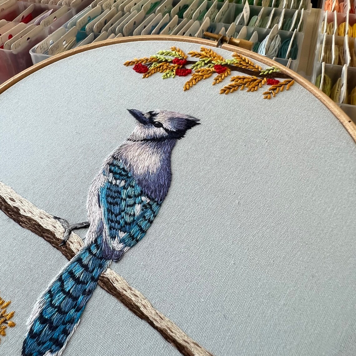 Blue Jay Bird. Hand Embroidery Pattern PDF. DIY. Embroidery - Etsy