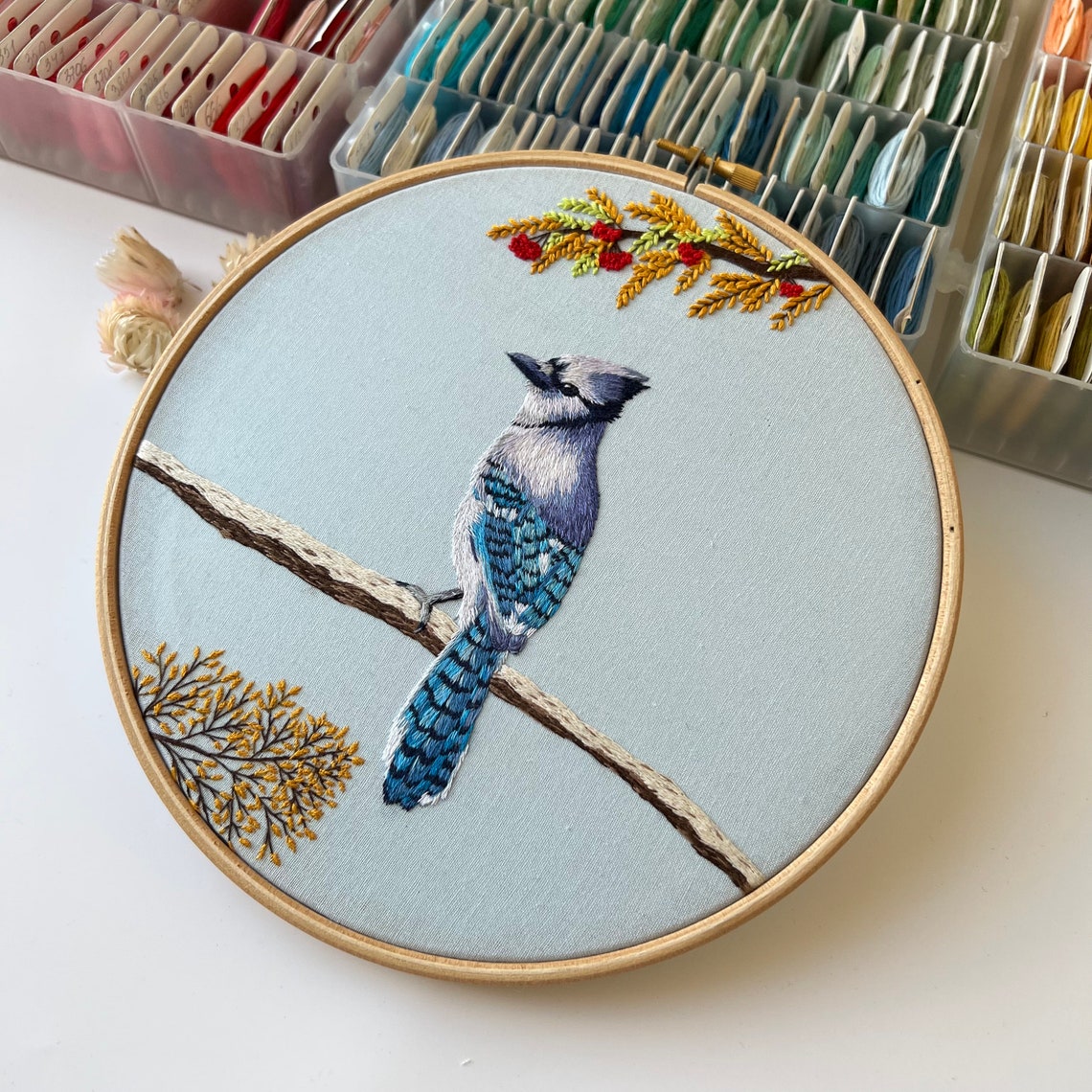Blue Jay Bird. Hand Embroidery Pattern PDF. DIY. Embroidery - Etsy