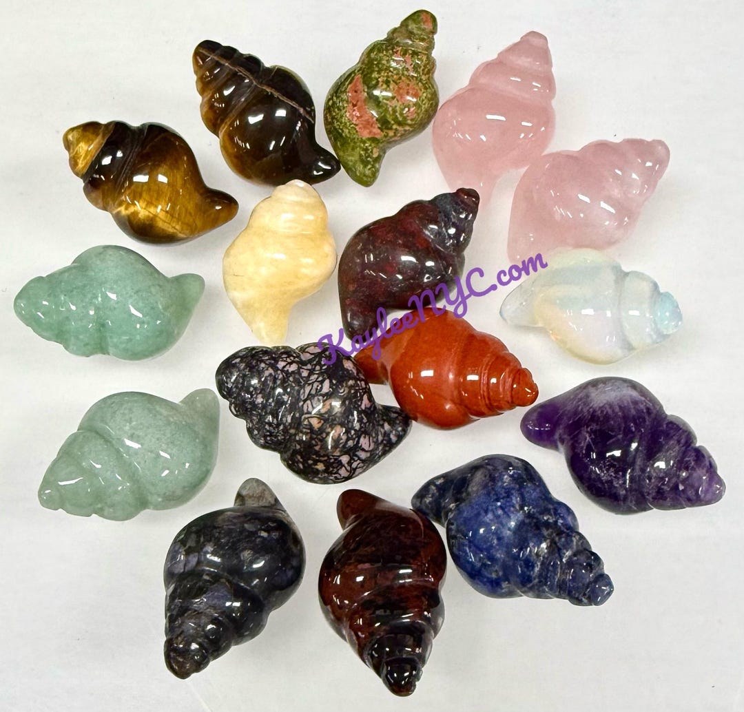 Wholesale Lot 16 Pcs 30mm Mixed Crystal Sea Shell Healing Energy - Etsy