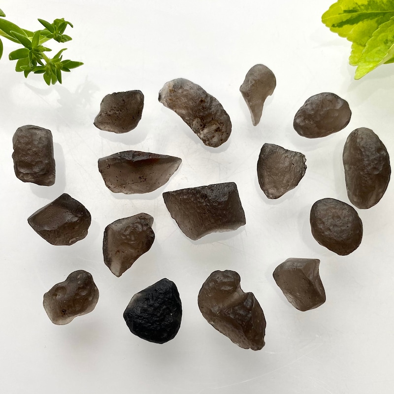 The Brown Colombia - Etsy