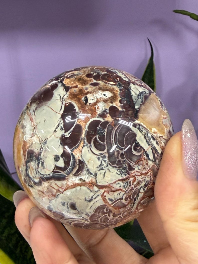 Wholesale Lot 3-4 Pcs Natural Money Agate Sphere Crystal Ball 2.8-3 Lbs ...