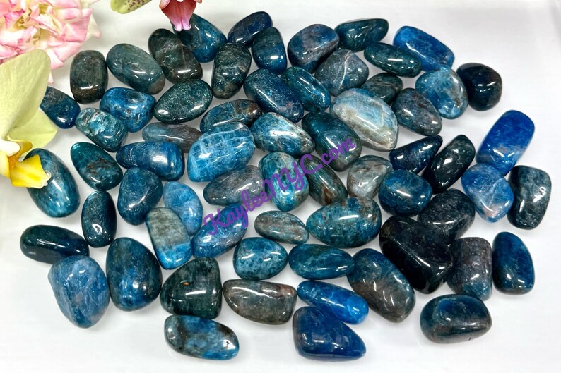 Wholesale Lot 2 Lbs Natural Apatite Tumble Healing Energy - Etsy
