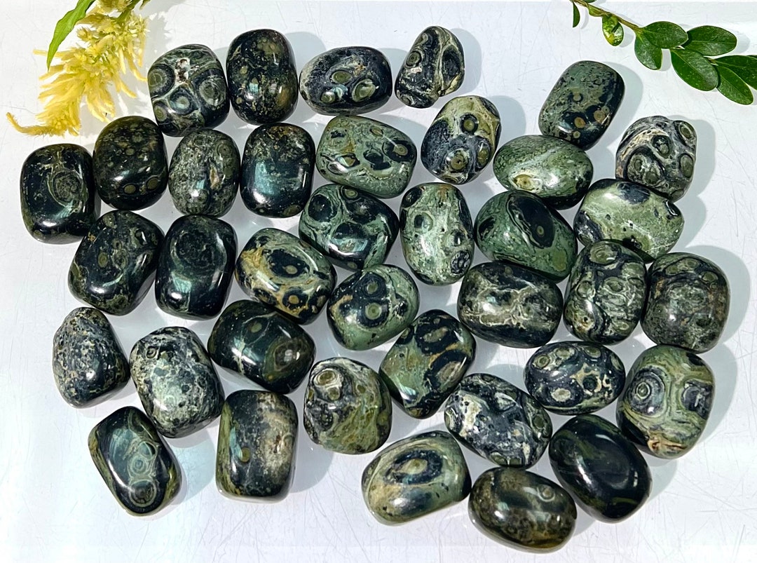 Wholesale Lot 2 Lbs Natural Kambaba Jasper Tumble Natural Healing ...
