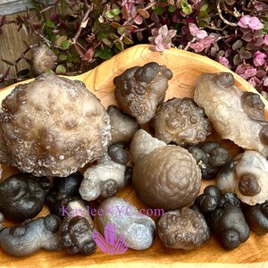 Wholesale Lot 2 Lbs Natural Panda Agate Crystal Healing Energy - Etsy